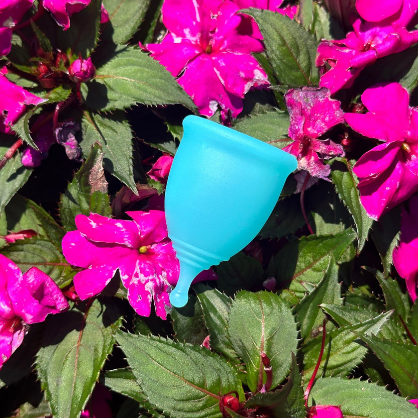 Products – Cariona